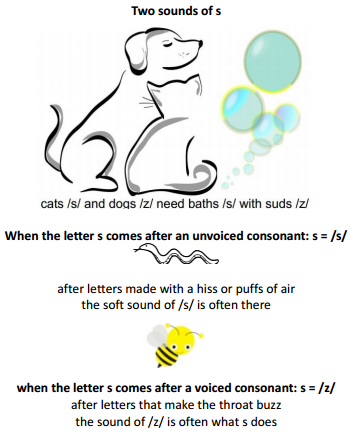 Voiced and Unvoiced Consonants – Phonics Pow