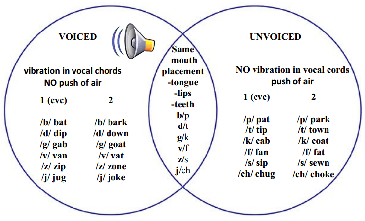 Voiced and Unvoiced Consonants – Phonics Pow
